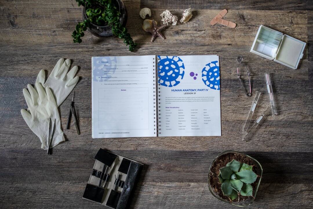 Experience Biology Student Guidebook - Journey Homeschool Bookstore