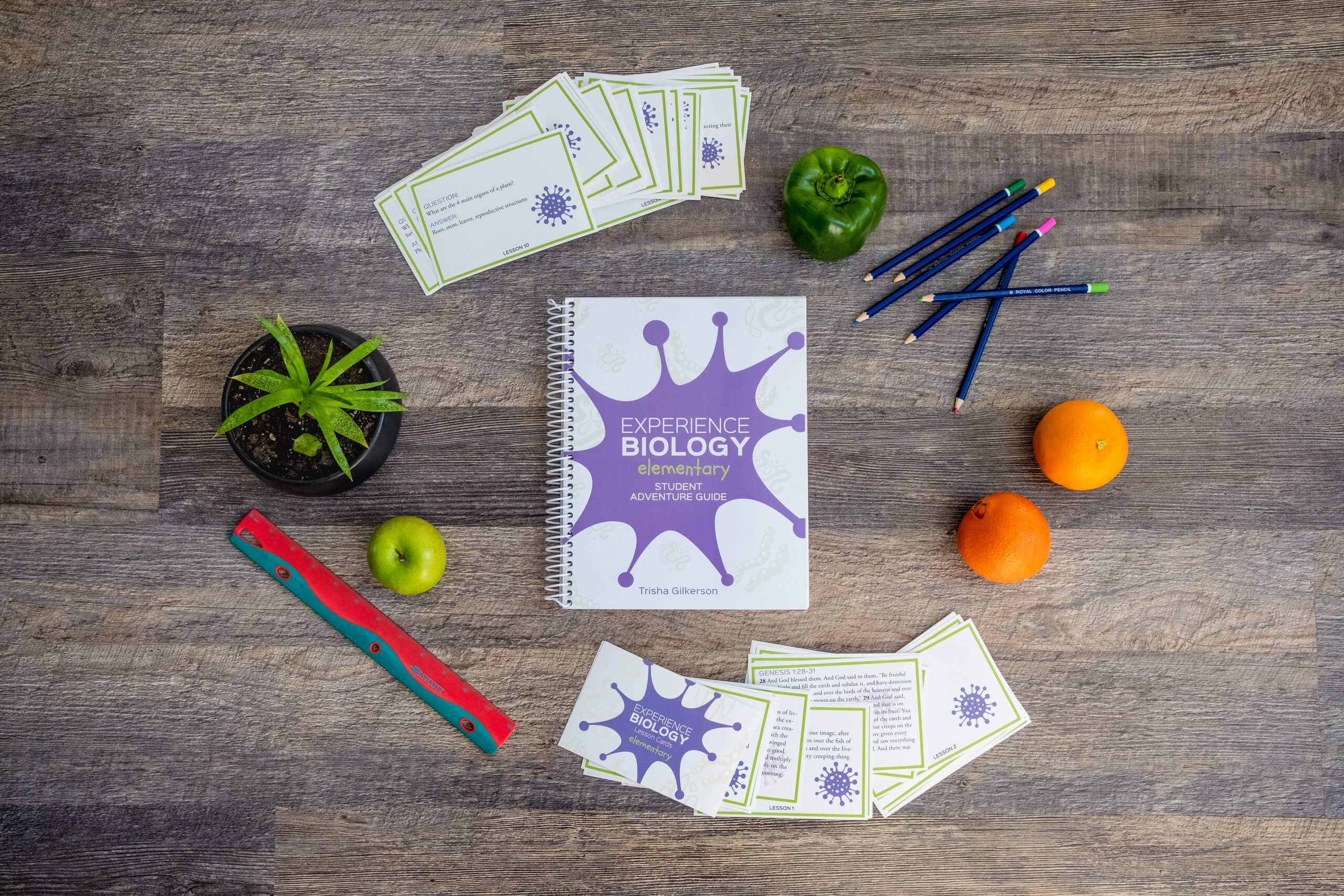 Experience Biology Student Adventure Guide - Journey Homeschool Bookstore